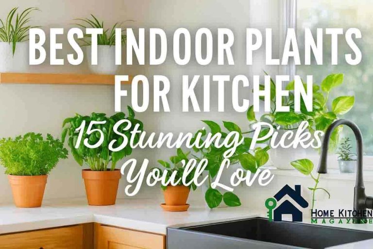 Best Indoor Plants For Kitchen: 15 Stunning Picks You’ll Love » Home ...